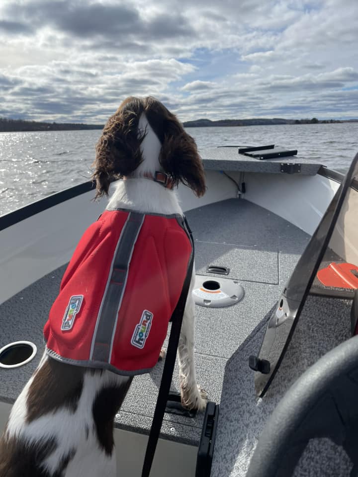 Pups & Props: 5 Must-Have Items for Boating With Your Dog | Blog ...