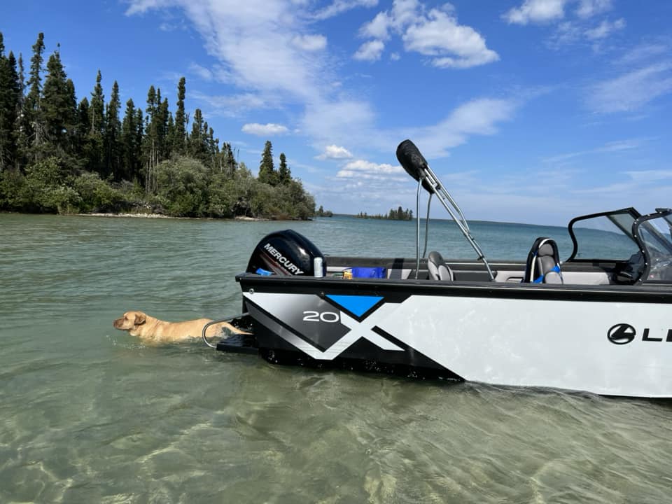 Pups & Props: 5 Must-Have Items for Boating With Your Dog | Blog ...